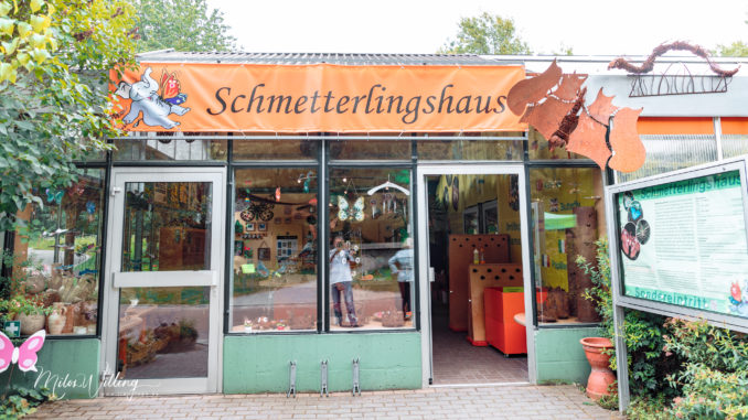 Verwunderlich Schmetterlingshaus In Hamm Bilder